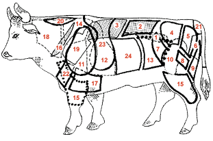 Aufteilung Fleisch Rind | Florian Baumgartner